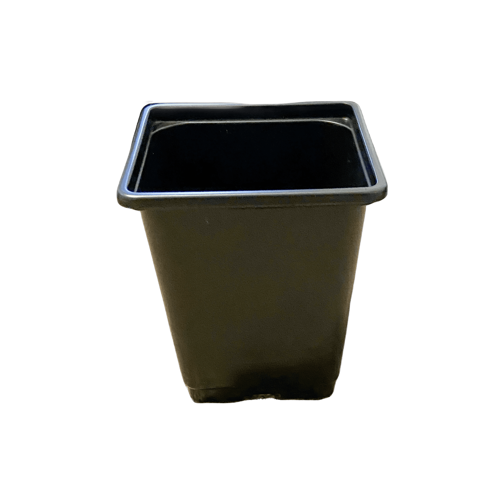 9 cm Square Plant Pot – Black Plastic - Sturton Plants